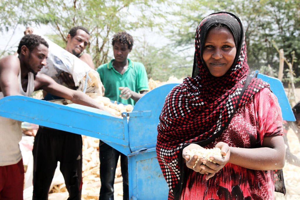 FAO and Mars join forces again to strengthen food safety - FFOODS Spectrum