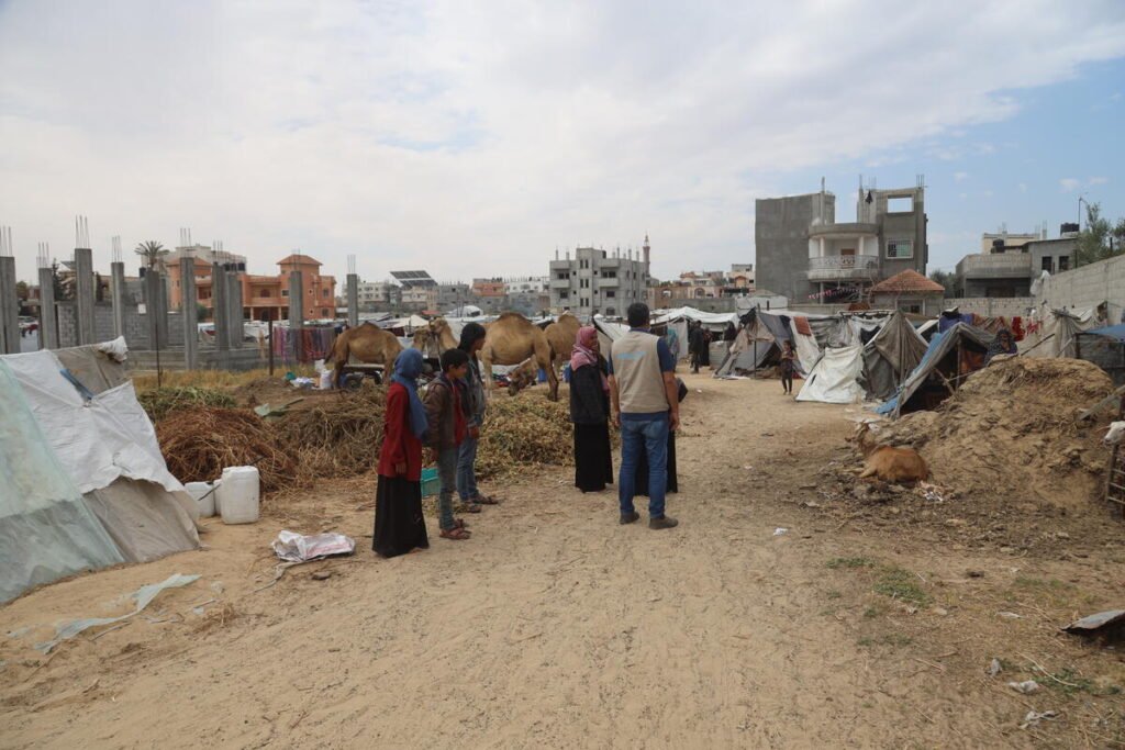 Acute hunger remains persistently high in 59 countries: GRFC - FFOODS ...