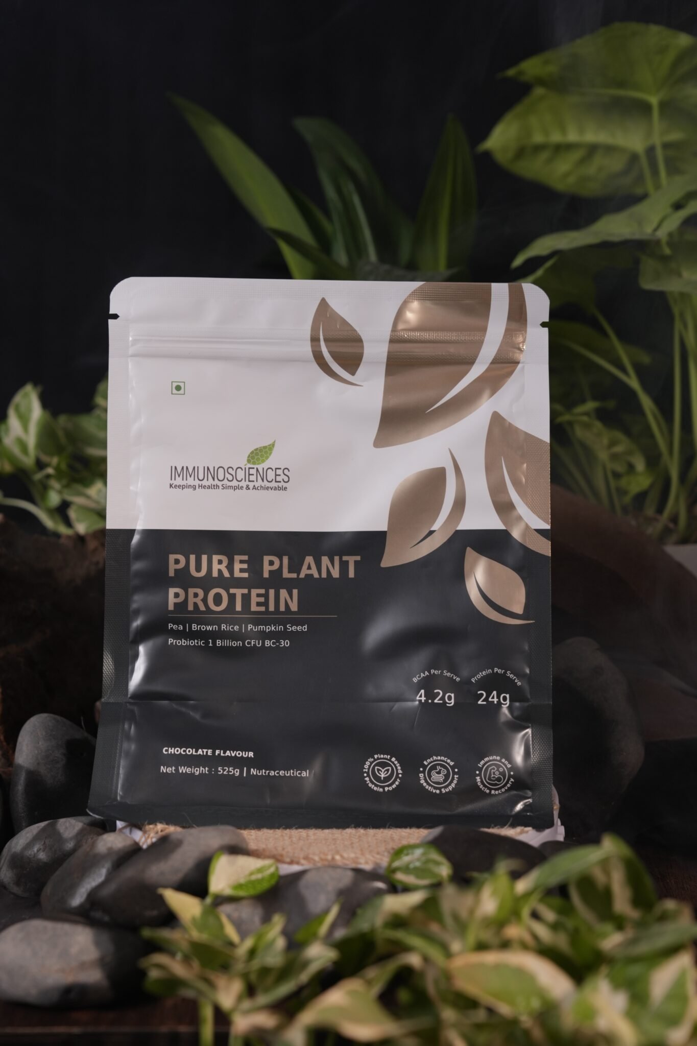 Immunosciences launches Pure Plant Protein - FFOODS Spectrum