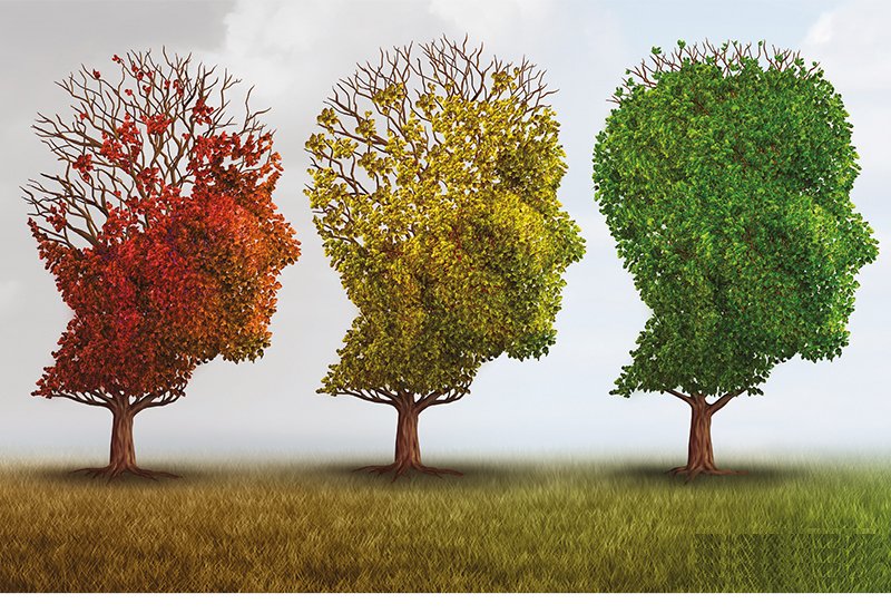 Can Obesity Increase Dementia Risk In Elderly FFOODS Spectrum 